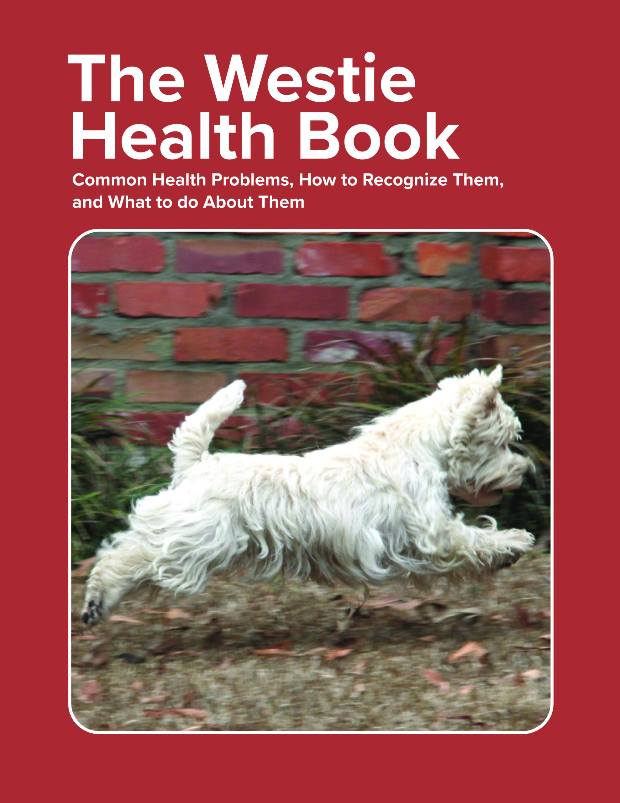 Quick Change Tires Expands Mobile Automotive Services in Lake Elsinore ...